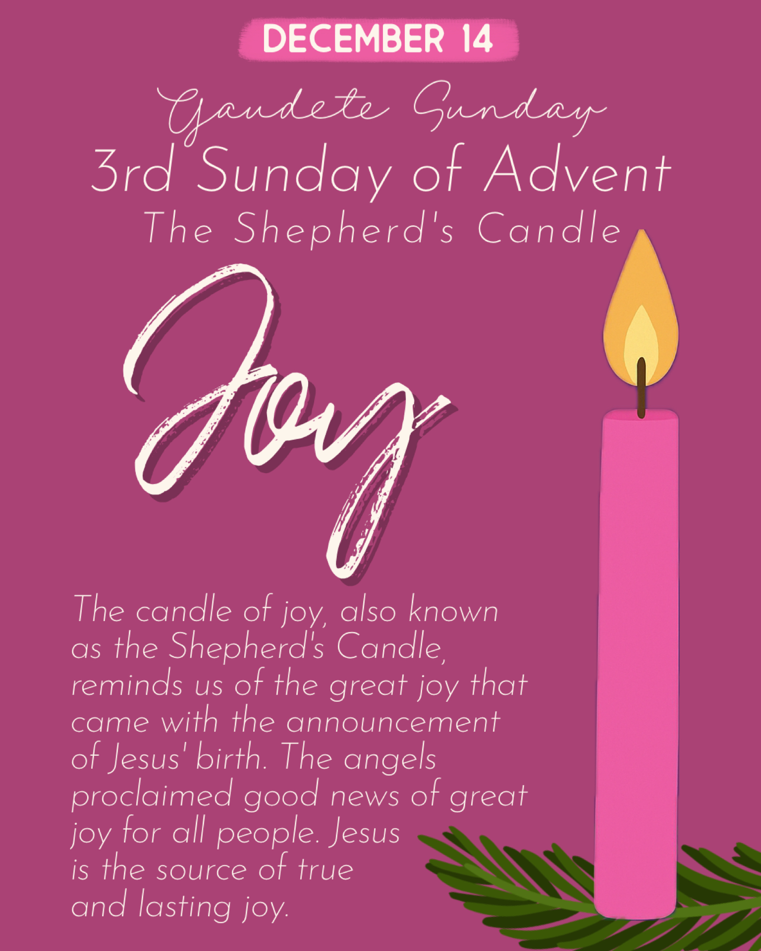 What Is Advent? Catholic Meaning & Local Celebration – Vanessa Gallegos ...